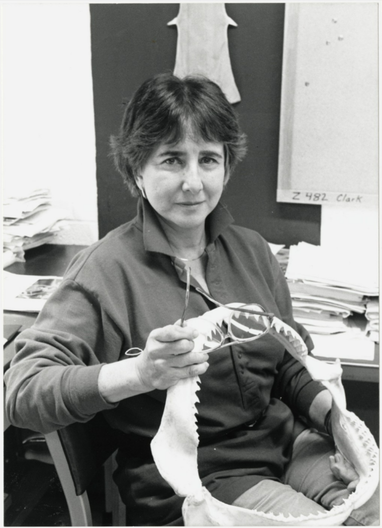 Dr. Eugenie Clark, A leading Marine Biologist and the Author of "The ...